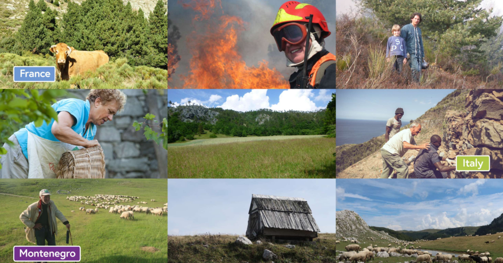 Project IRIS Closing Conference: Sustainable practices to protect and ...